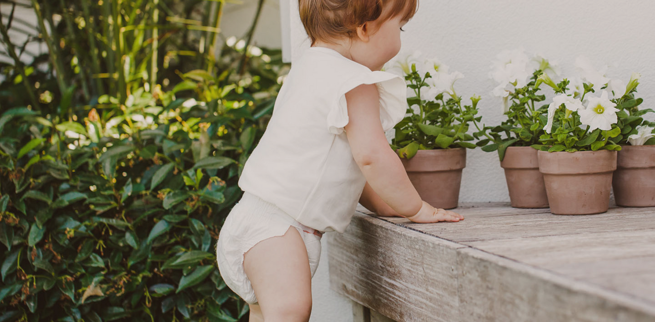 Plant-Based Diapers & Bamboo Baby Wipes – Terra Eco Baby Products